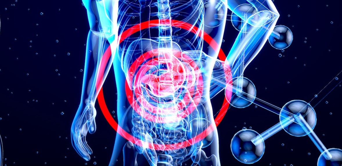 ENS: Signals for Studying the Body’s “Second Brain” - BIOPAC Blog