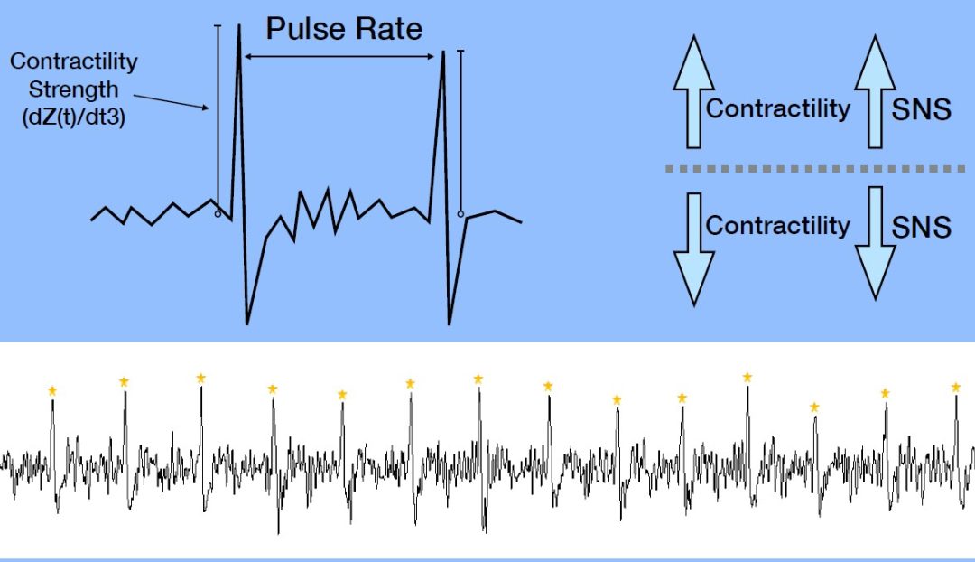TREV Q&A: Unpacking Trans-radial Electrical Bioimpedance Velocimetry ...
